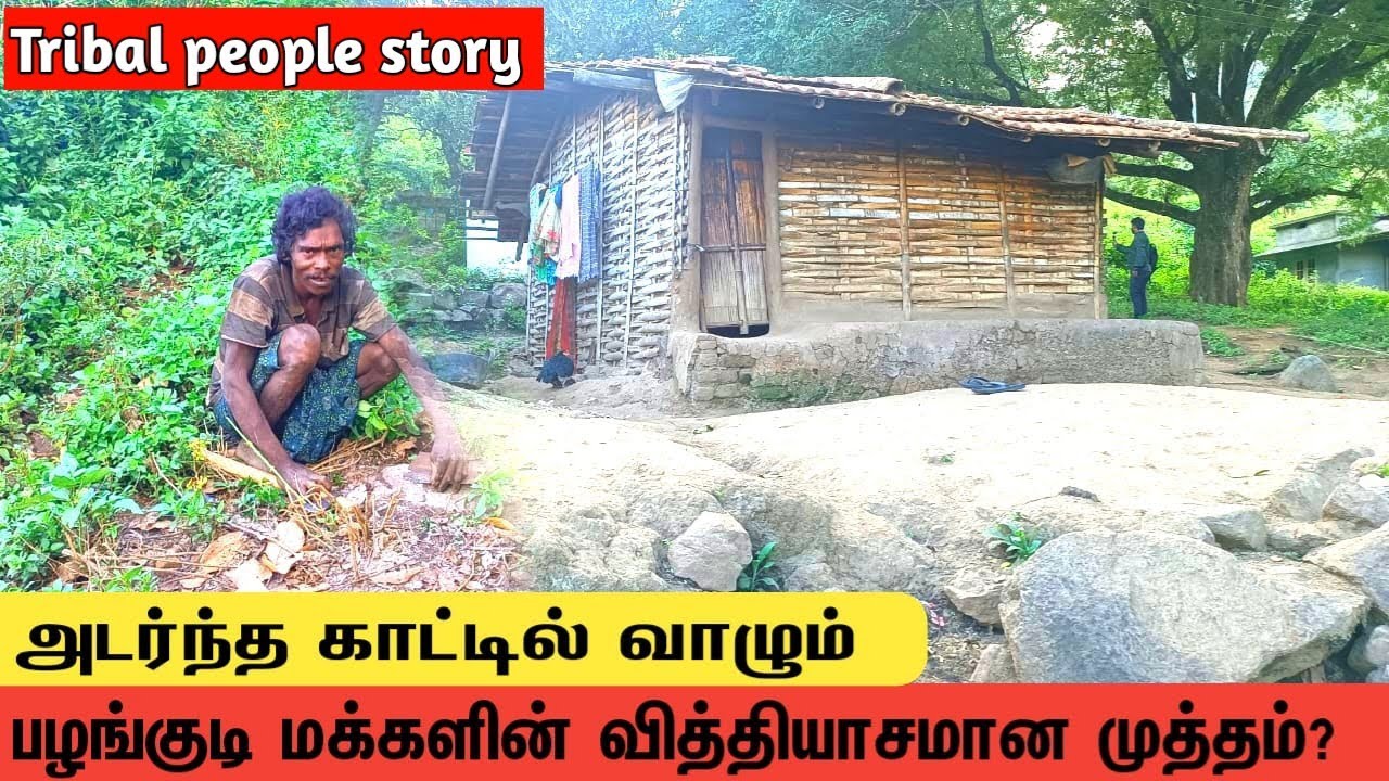பழங்குடி மக்களின் வாழ்வியல் முறை /Attapadi tribal village lifestyle # ...