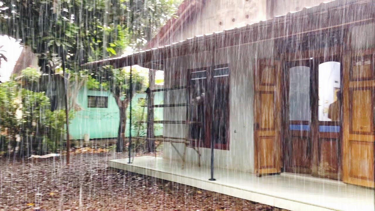 Heavy rain in the morning in my village || makes me lazy to wake up ...