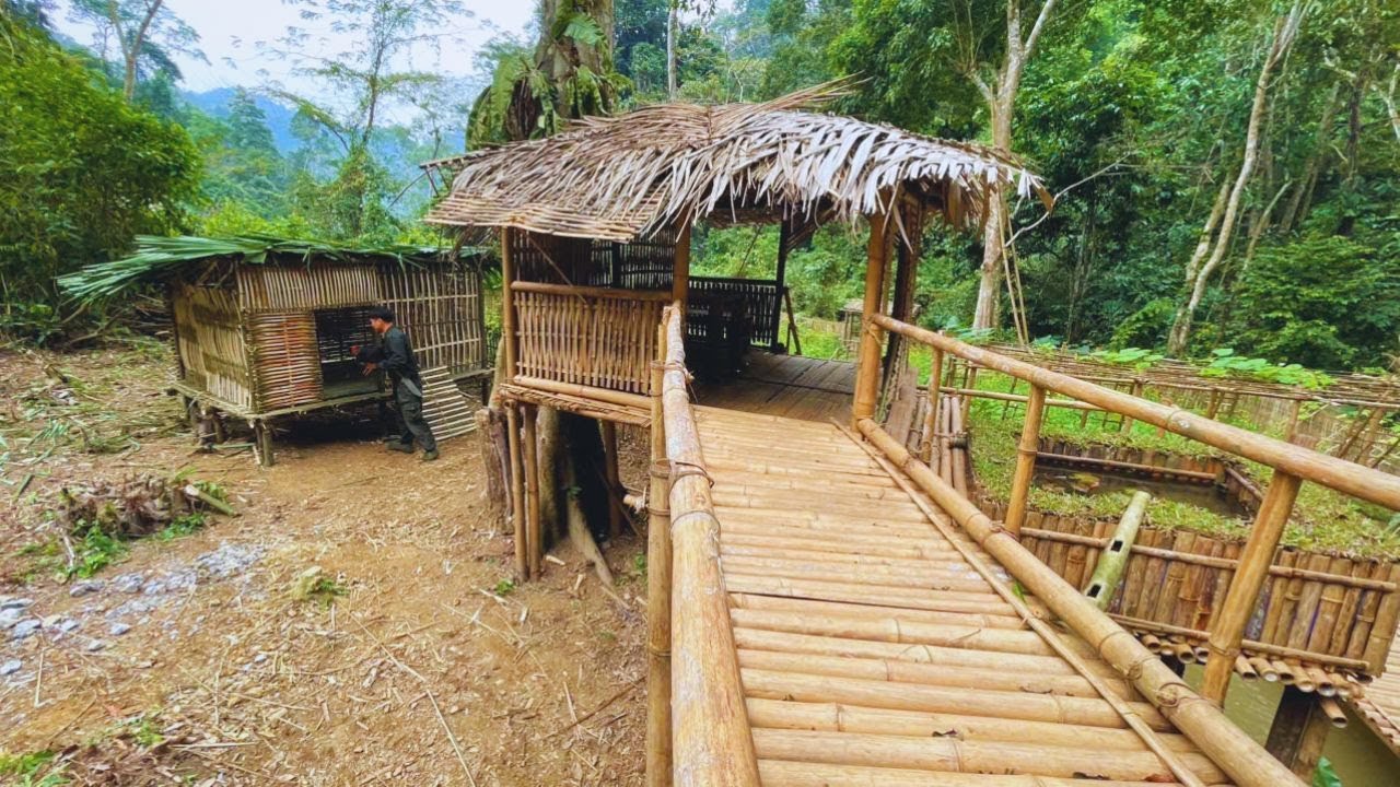 Make a chicken coop out of bamboo. Build an organic farm in the deep ...
