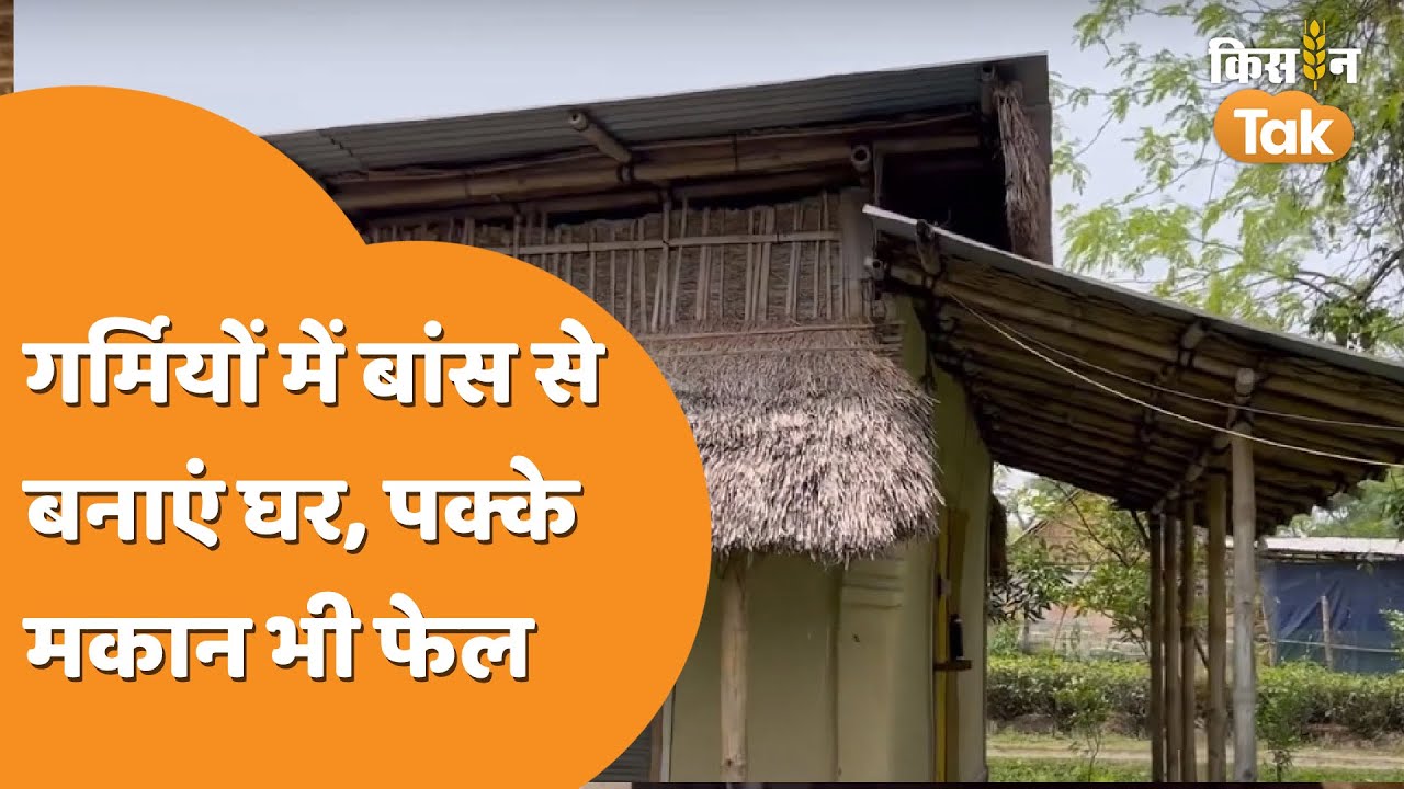 Bamboo House: कम खर्च में तैयार करें बांस से घर, 60-70 साल तक भी नहीं ...