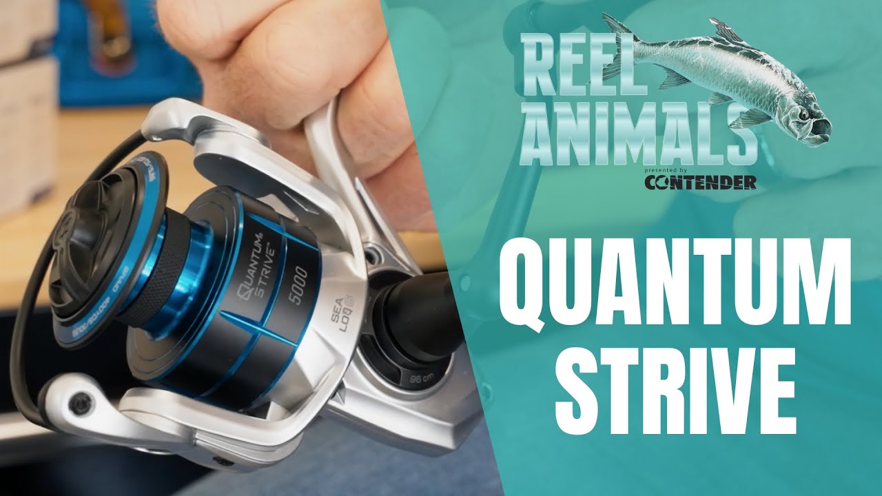 This Is The Perfect Reel For Any Fish! | Reel Animals Fishing - YouTube