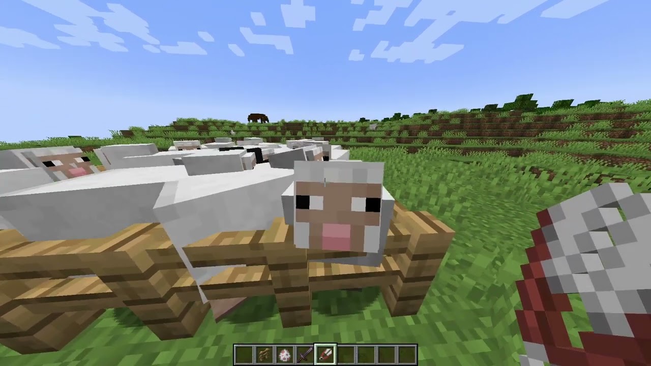 Exploding Sheep :) - YouTube