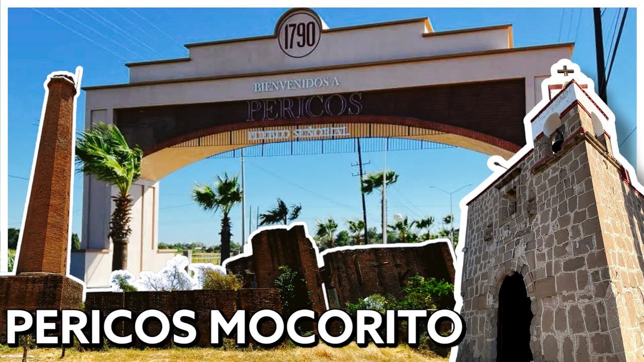 PERICOS Y RECOVECO, MOCORITO, SINALOA - YouTube