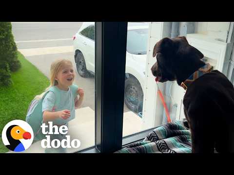 Moment Between Shelter Dog And Little Girl Is Completely Priceless | The Dodo