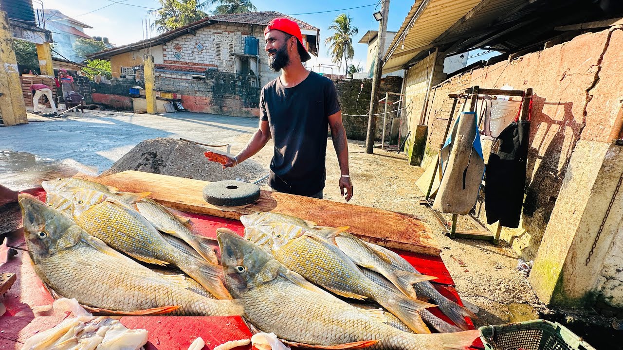 GREAT !! GIANT SEA FISH CUTTING COMPILATION IN BIGGEST STREET FISH ...