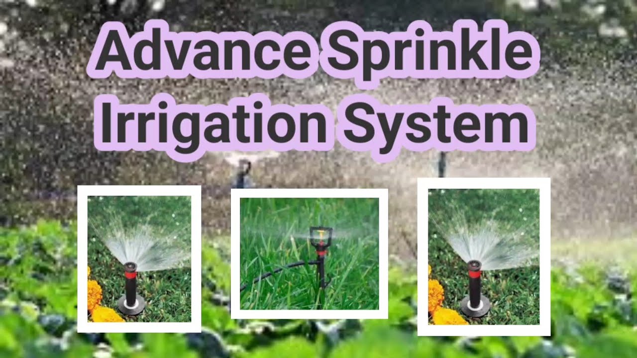 Latest Advance Sprinkle Irrigation System लेटेस्ट एडवांस स्प्रिंकल ...