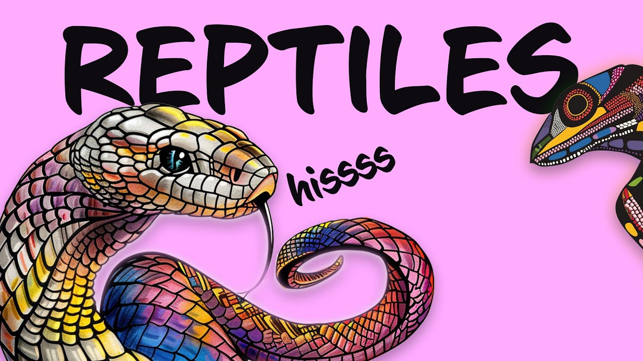 all about REPTILES 🦎🐢 + BONUS downloads activity pages - YouTube