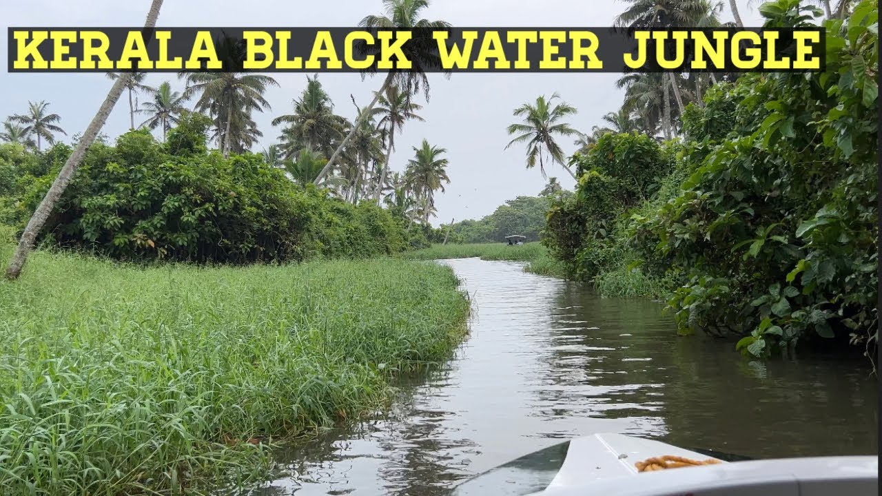 Kerala Black Water Jungle II Azhimala Temple TRIVANDRAM II Kerala Trivadram II Kerala Jubgle II ...