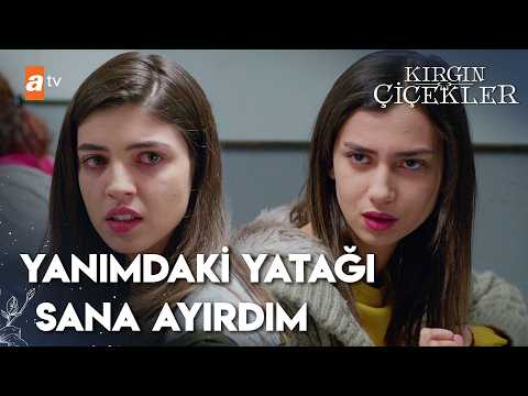 Meral, Defne'nin yarasını deşiyor - Kırgın Çiçekler 38. Bölüm