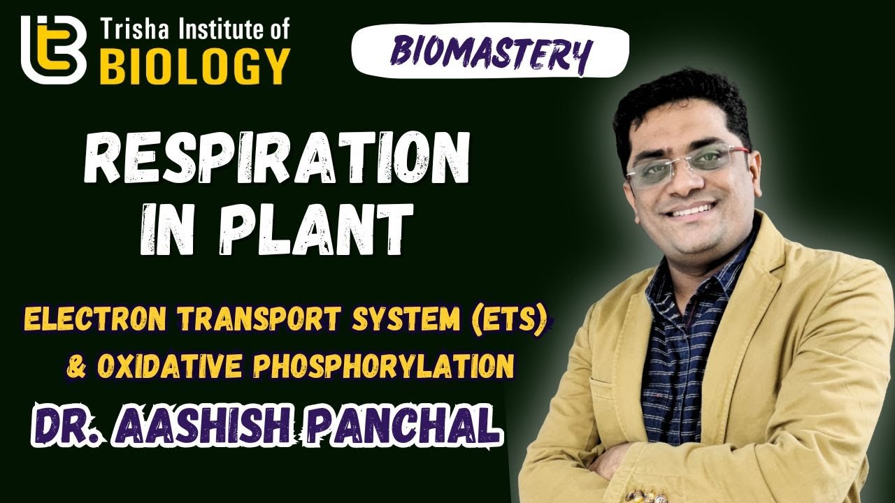 ETS ELECTRON TRANSPORT SYSTEM - YouTube