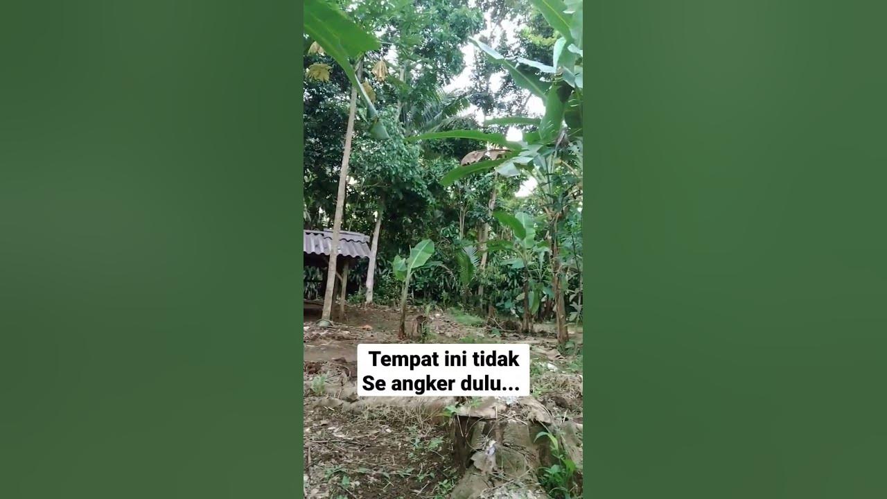 Di Lokasi Ini Sering Ada Penampakan Mbak Kunti Youtube