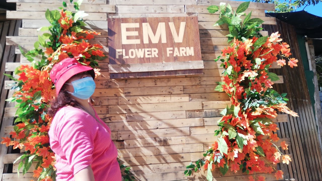EMV FLOWER FARM - 30 PESOS LANG! - YouTube