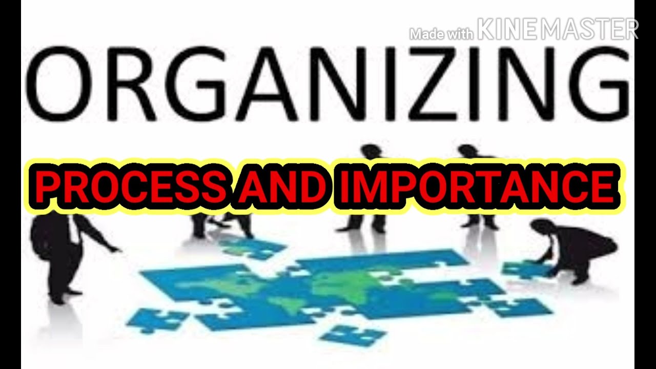 Chapter Five: ORGANISING || PROCESS AND IMPORTANCE OF ORGANISING ...