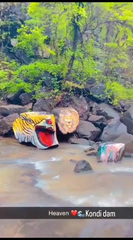 Kondi Dam🌊🏞️ l अलिबाग मधील प्रसिद्ध असा धबधबा l #dam #waterfall #viral ...
