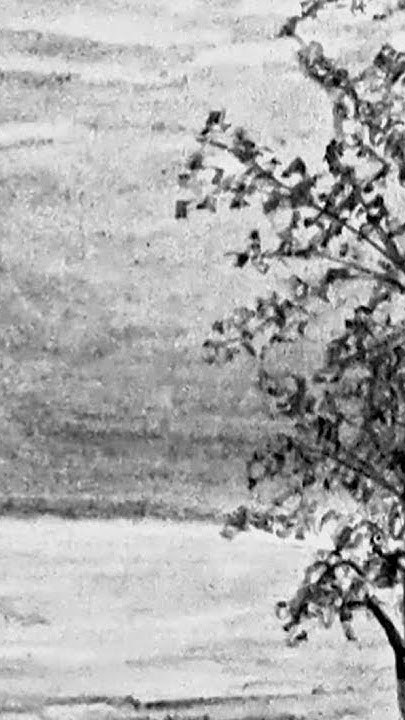 Graphite drawing tutorial for beginners. - YouTube