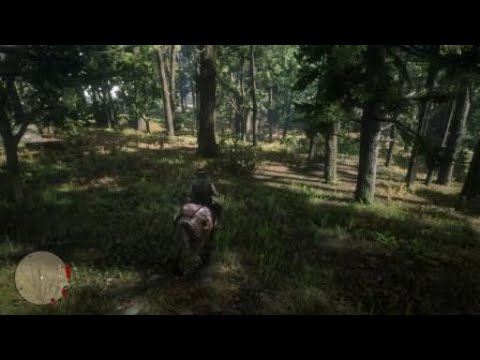 Red Dead Redemption 2 - Horse Fart & The King