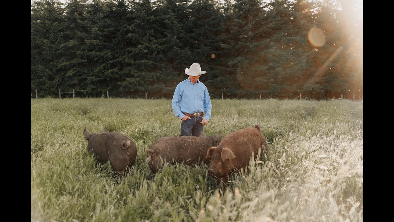 Nourished With Nature Farm: Unboxing half hog - YouTube