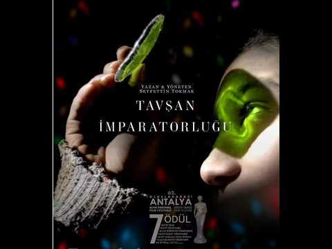 Tavşan İmparatorluğu Filmi Üzerine