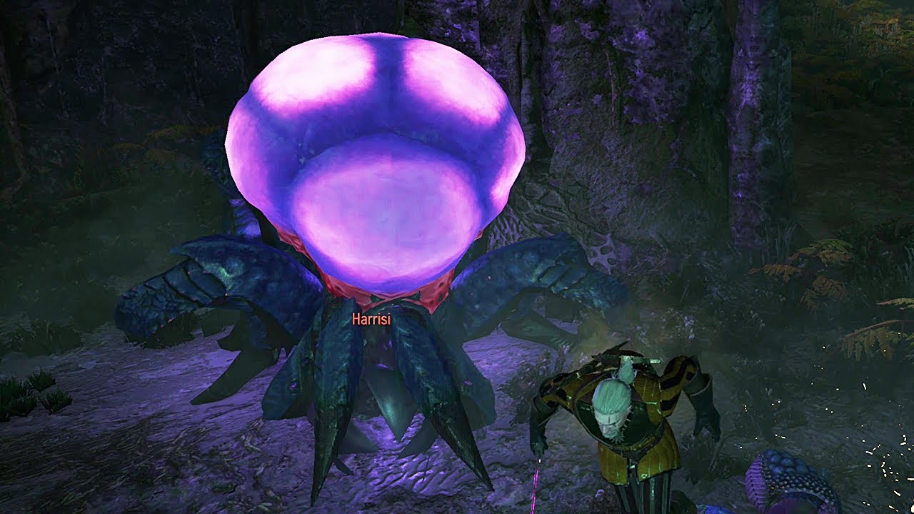 Witcher 3 Wild Hunt - Harrisi Boss Fight - YouTube