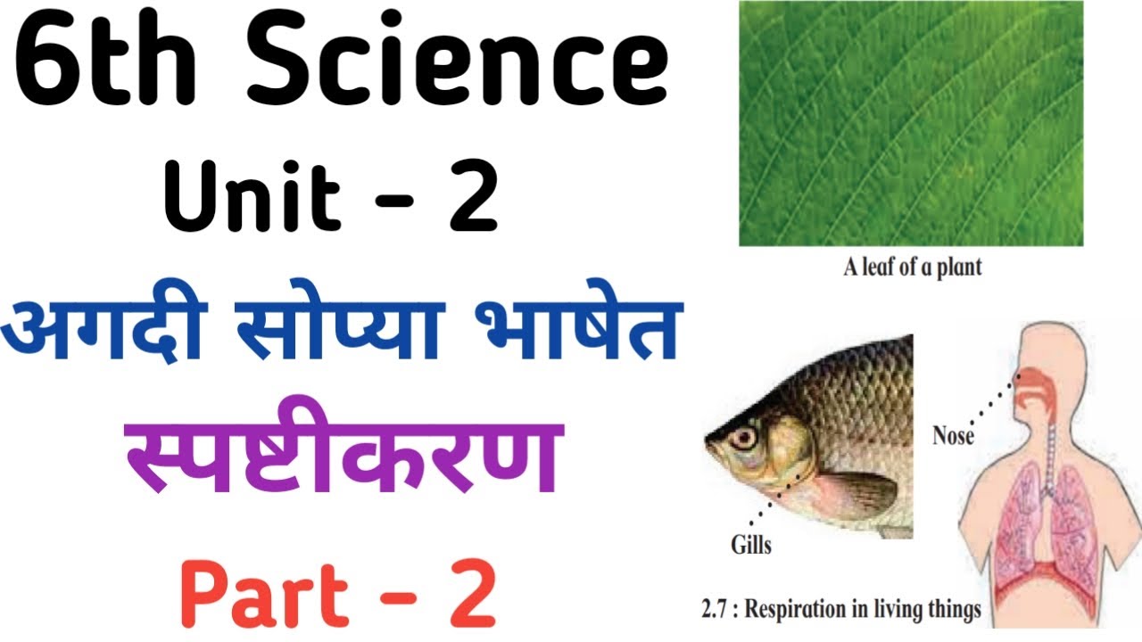 Class 6th Science | Unit 2 -The Living World|Characteristics of living ...