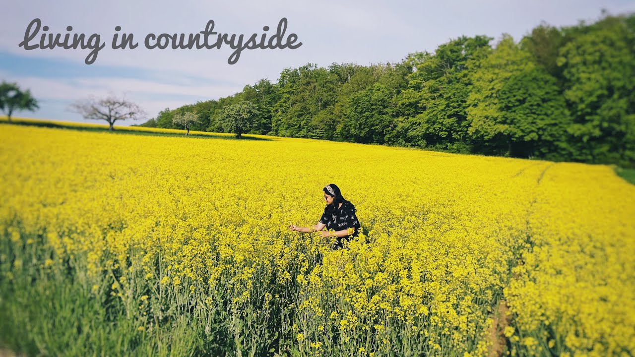 Slow life in Countryside | Daily Vlog - YouTube
