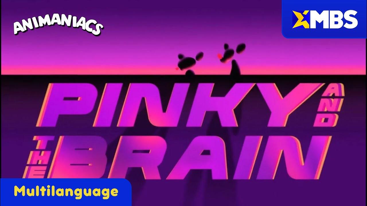 Pinky And The Brain intro (2020) | Multilanguage - YouTube