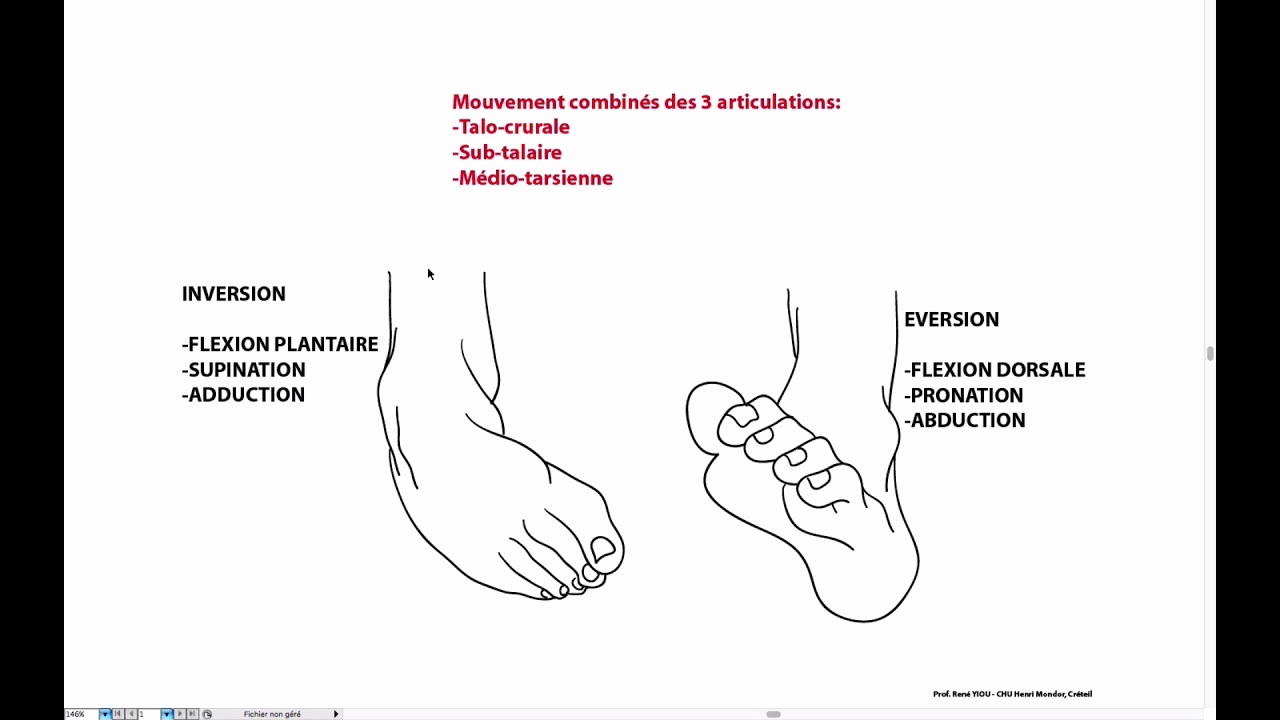 Inversion éversion - YouTube