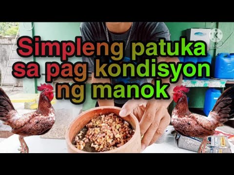 simpleng patuka sa pag kondisyon ng manok abot kayang patuka... - YouTube