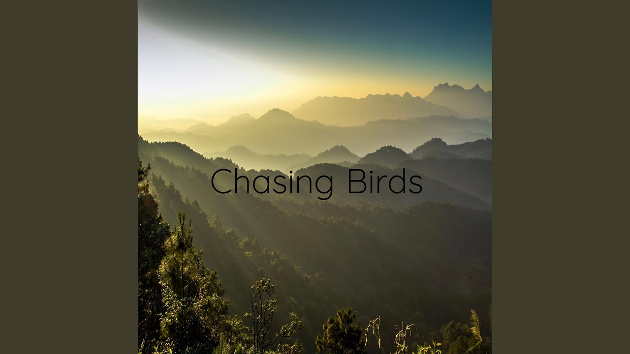 Chasing Birds - YouTube