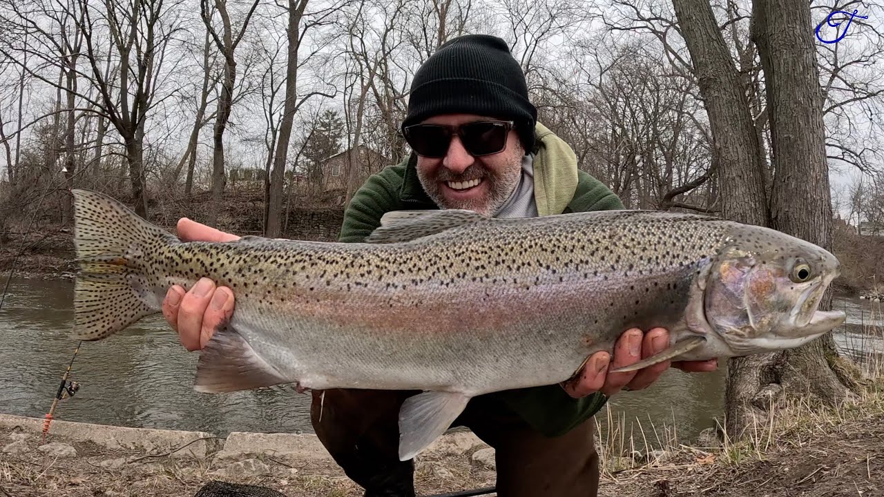 They're Running Up the Rivers! Walleye, Rainbow Trout, & Longnose ...