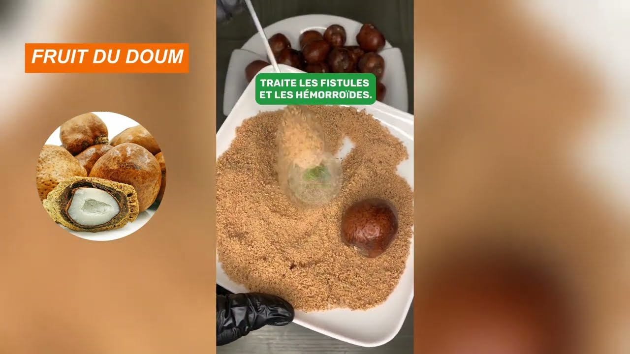 Bienfaits KONKORONG / Fruit Du Doum - YouTube