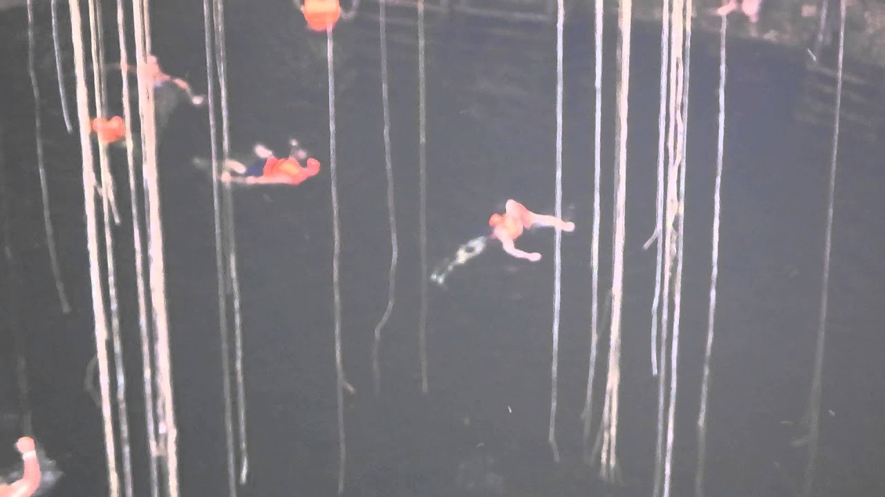 Cliff Jump Cancun - YouTube