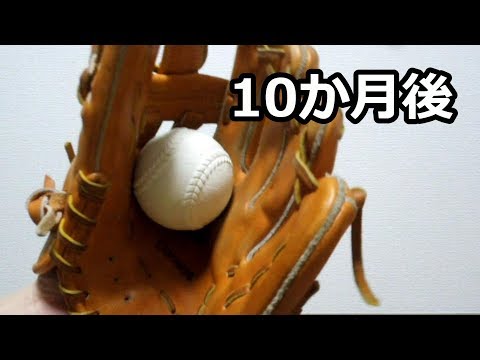 【10か月後】サード用型付け記録 ドナイヤ DJNIM （山田哲人モデル）