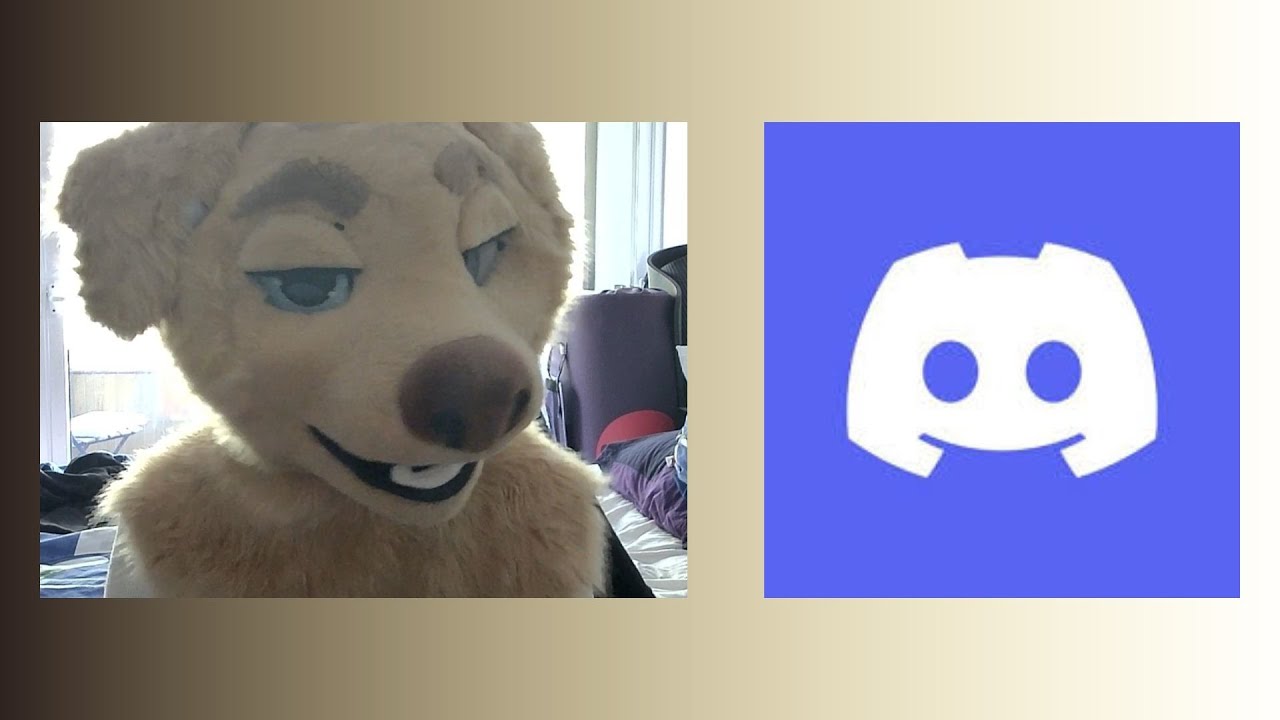 little discord plug - YouTube