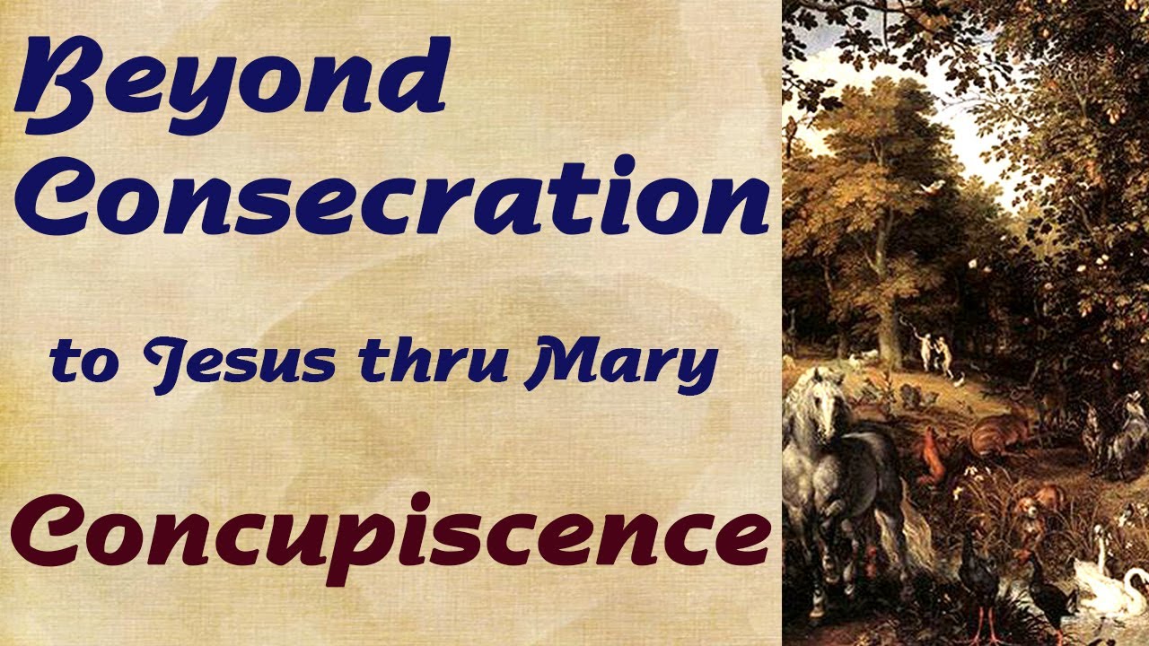 7_Beyond Consecration to Jesus thru Mary: Concupiscence - YouTube
