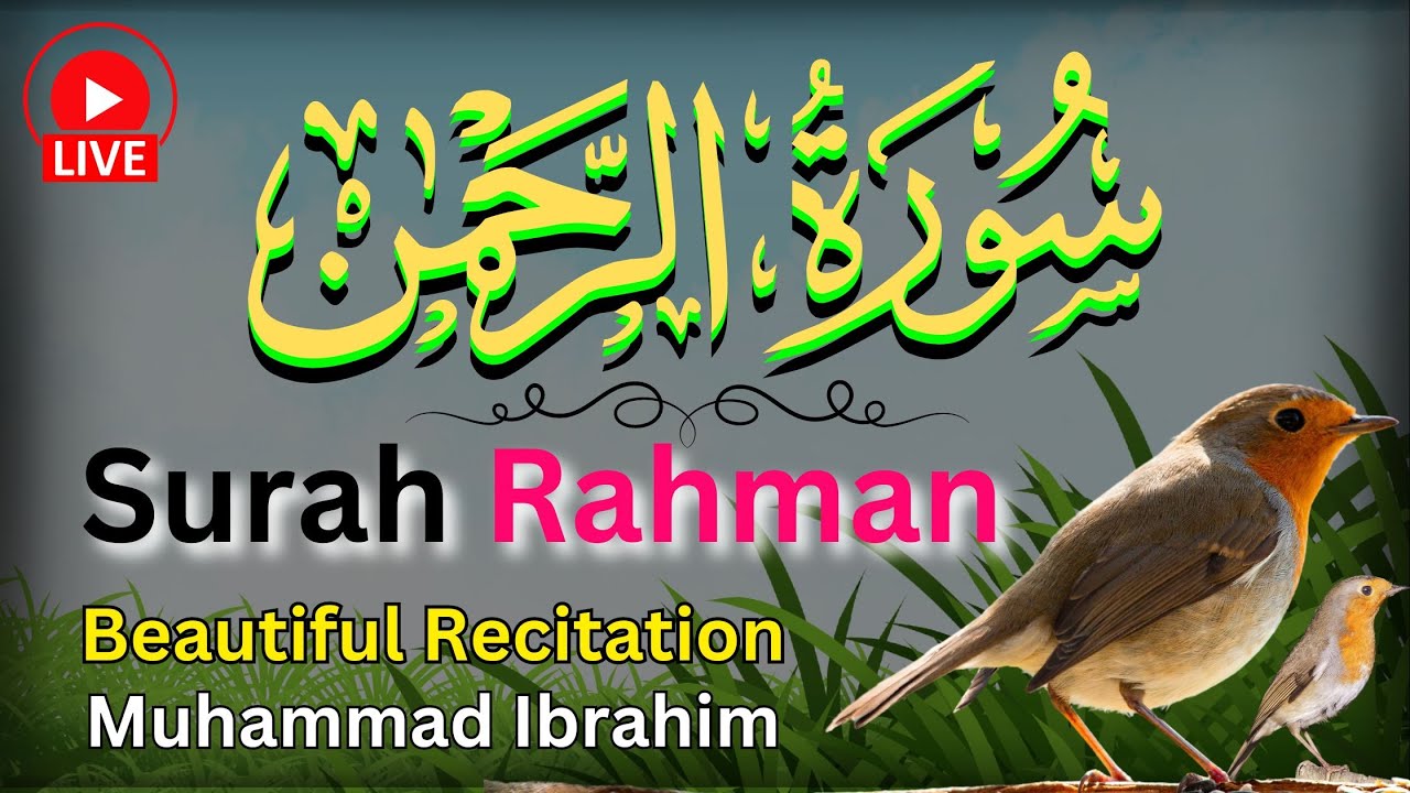 Surah Rahman With Urdu Translation | سورة الرحمن | Quran with Urdu and ...
