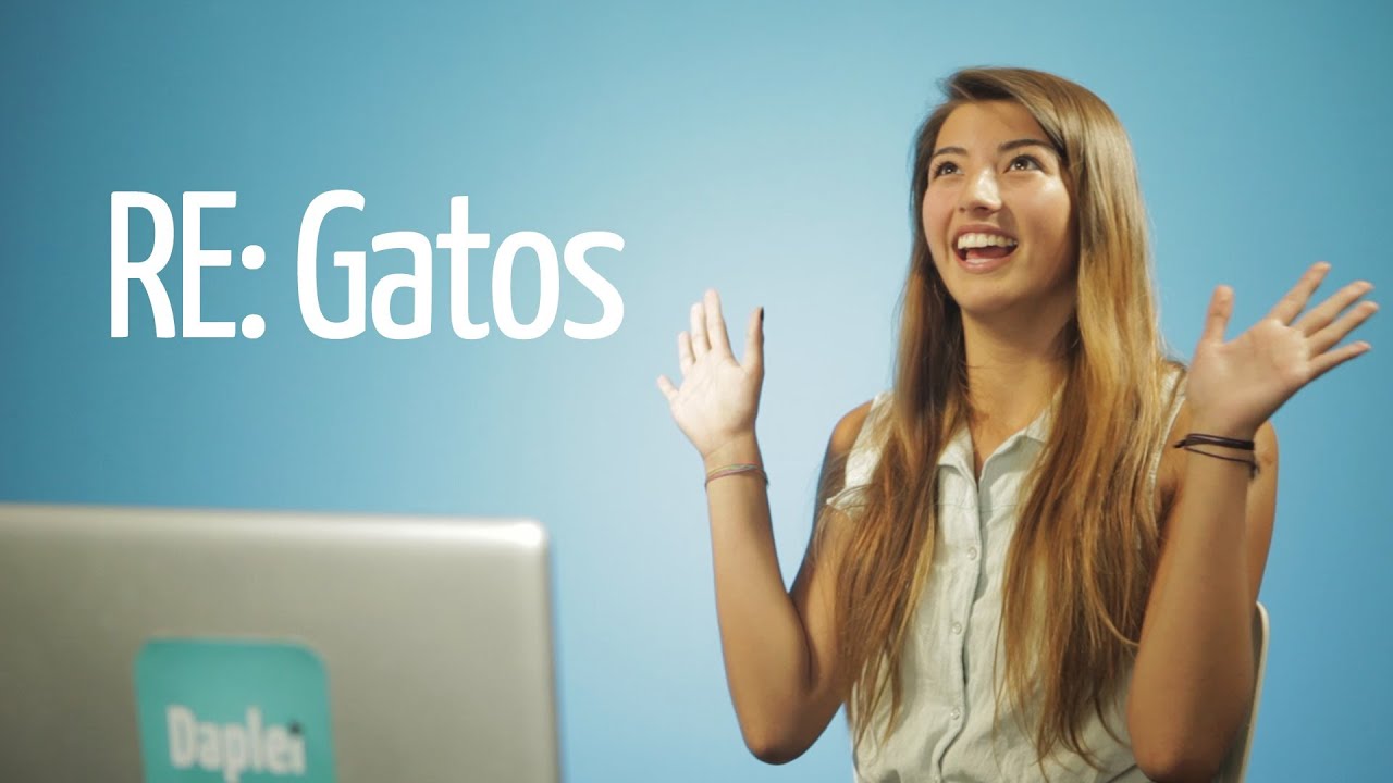 RE: Gatos - YouTube