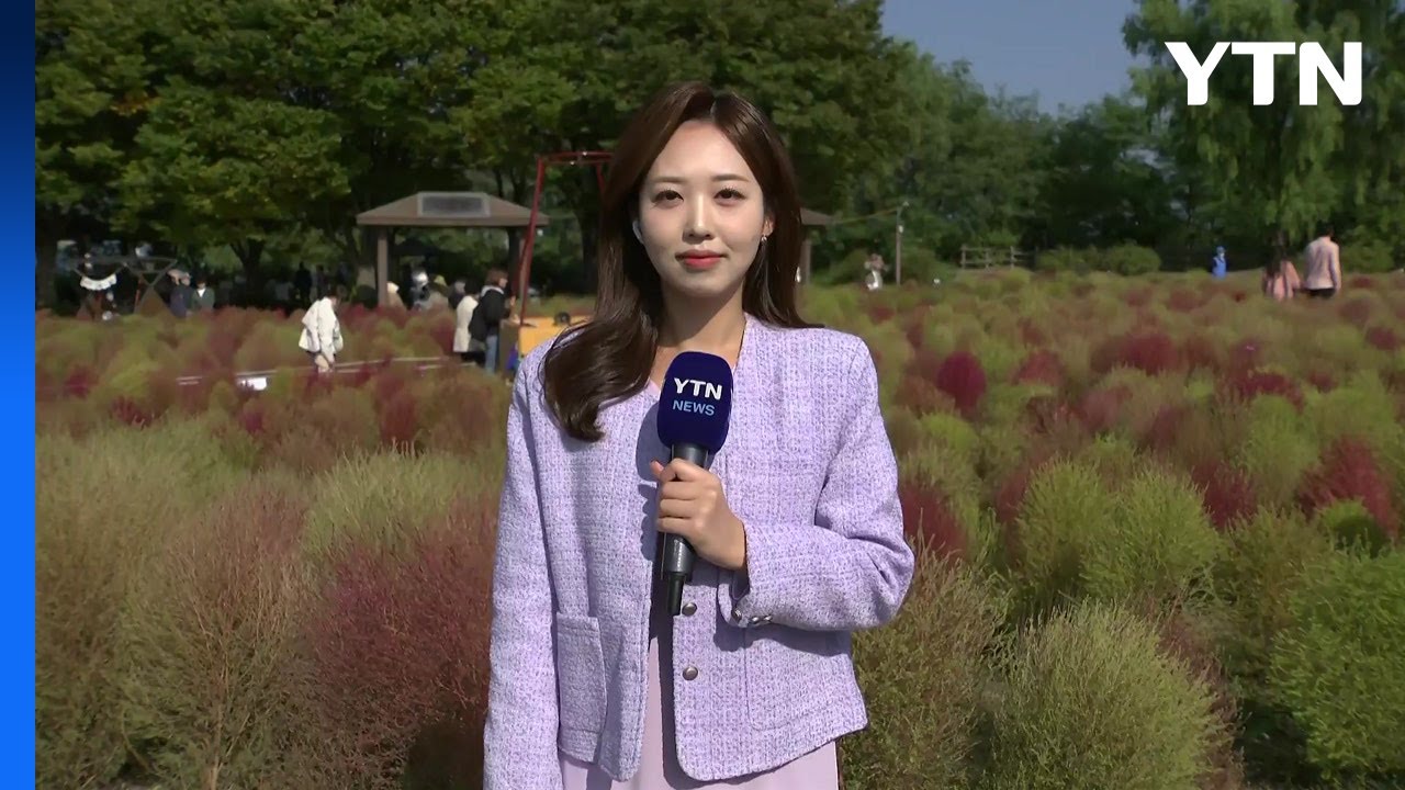 [날씨] 청명한 가을 날씨...깊어가는 가을, 큰 일교차 주의 / YTN - YouTube