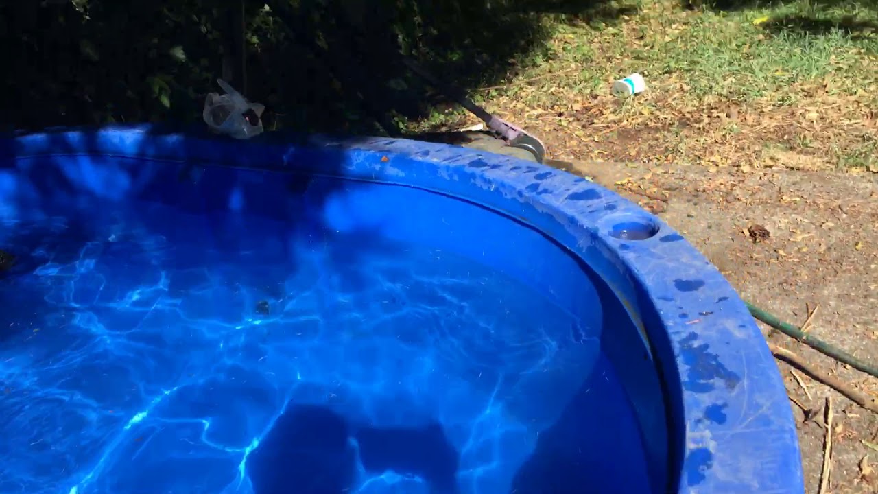 SpongeBob’s pool party - YouTube