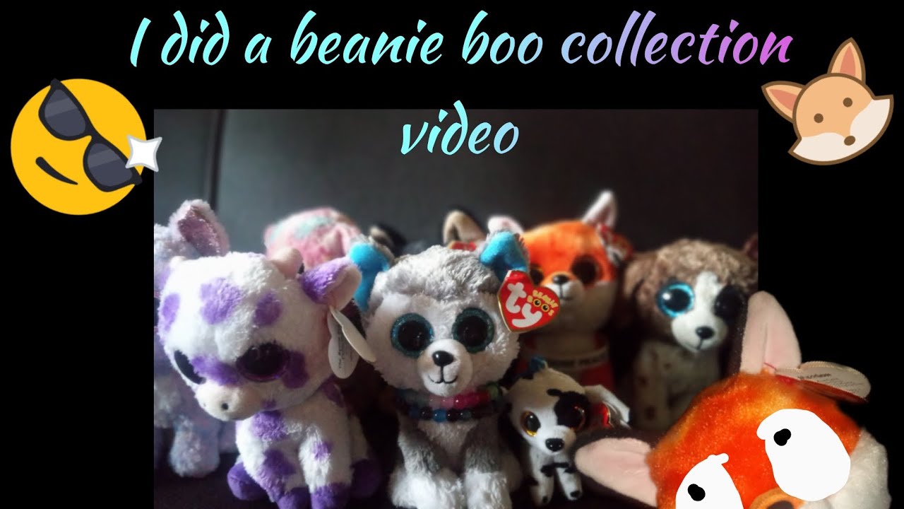 I did a beanie boo collection video - YouTube