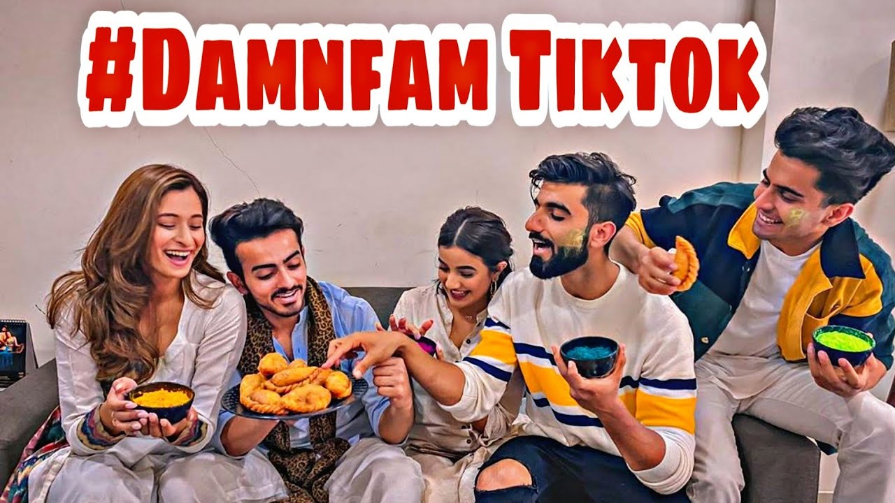 DamnFam|| tiktok videos||sanket mehta,unnati,ashi khanna,tanzeel,mrunal ...