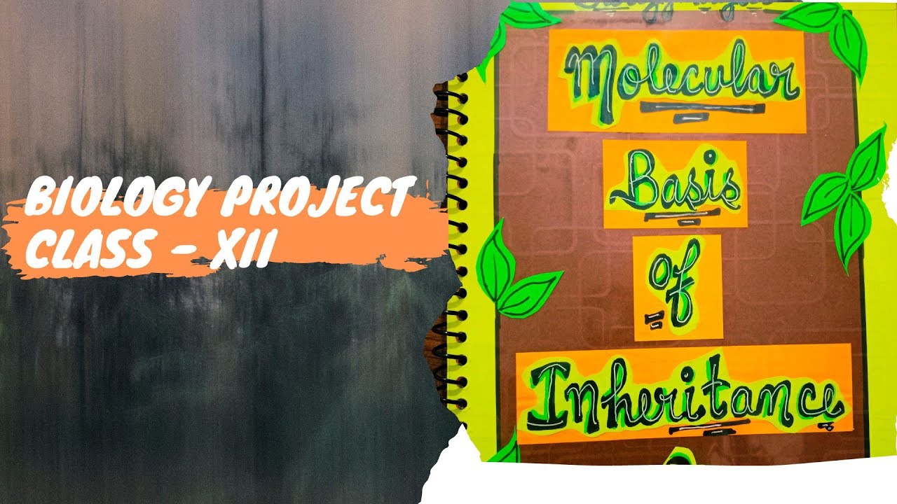 Molecular Basis Of Inheritance | BIOLOGY PROJECT - Class 12- Medical ...