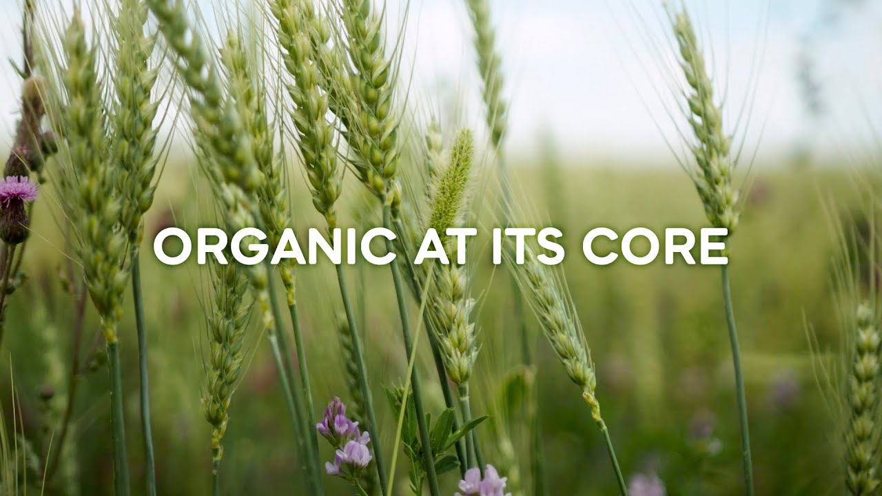 Organic at its Core — Regenerative Organic — Nature’s Path - YouTube