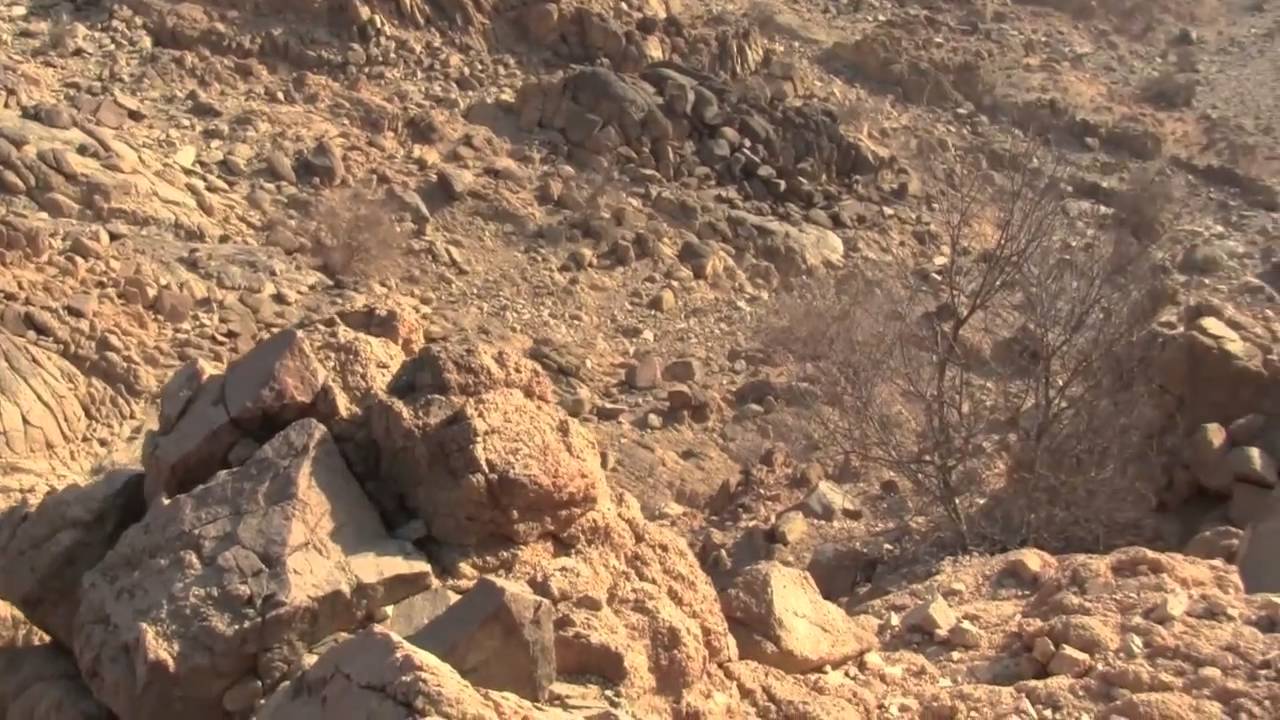 al-Baydha project late summer view - YouTube