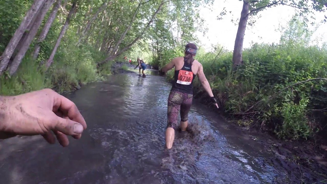 ALFA RUN 2019 - YouTube