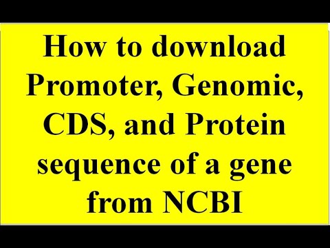 Downloading Promoter CDS Protein Genomic sequence of a gene from NCBI ...