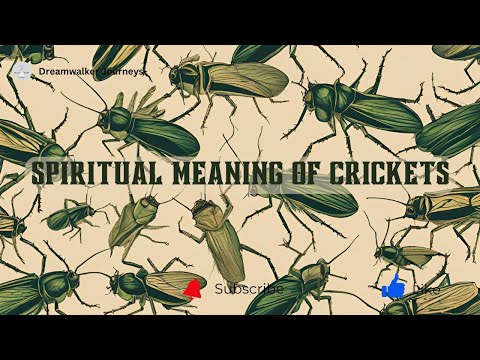 Why Are Crickets Considered Good Luck