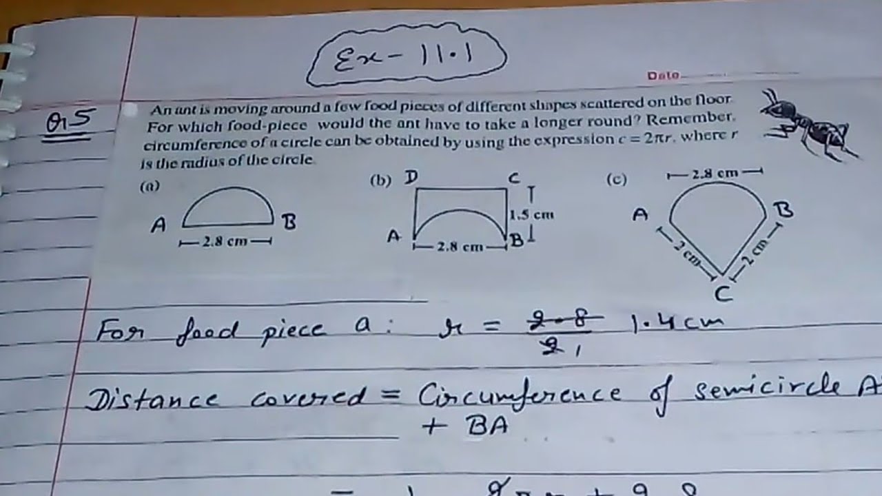 Q-5 Ex-11.1 Chapter 11 Mensuration | Ncert Class 8th Maths - YouTube