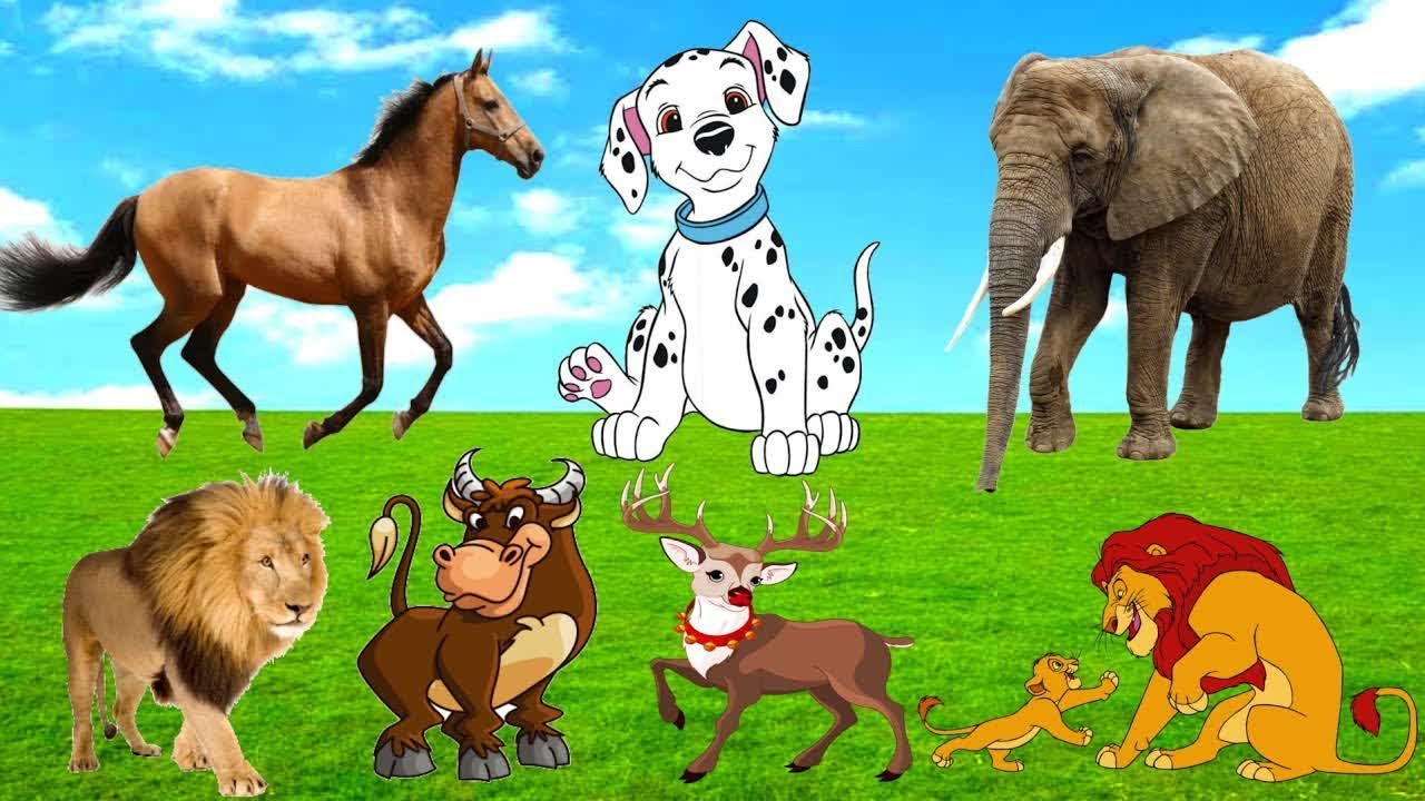 Funny Animal Sounds Around Us - Puppy, Panda, Cat, Chicken, Cow, Lion ...