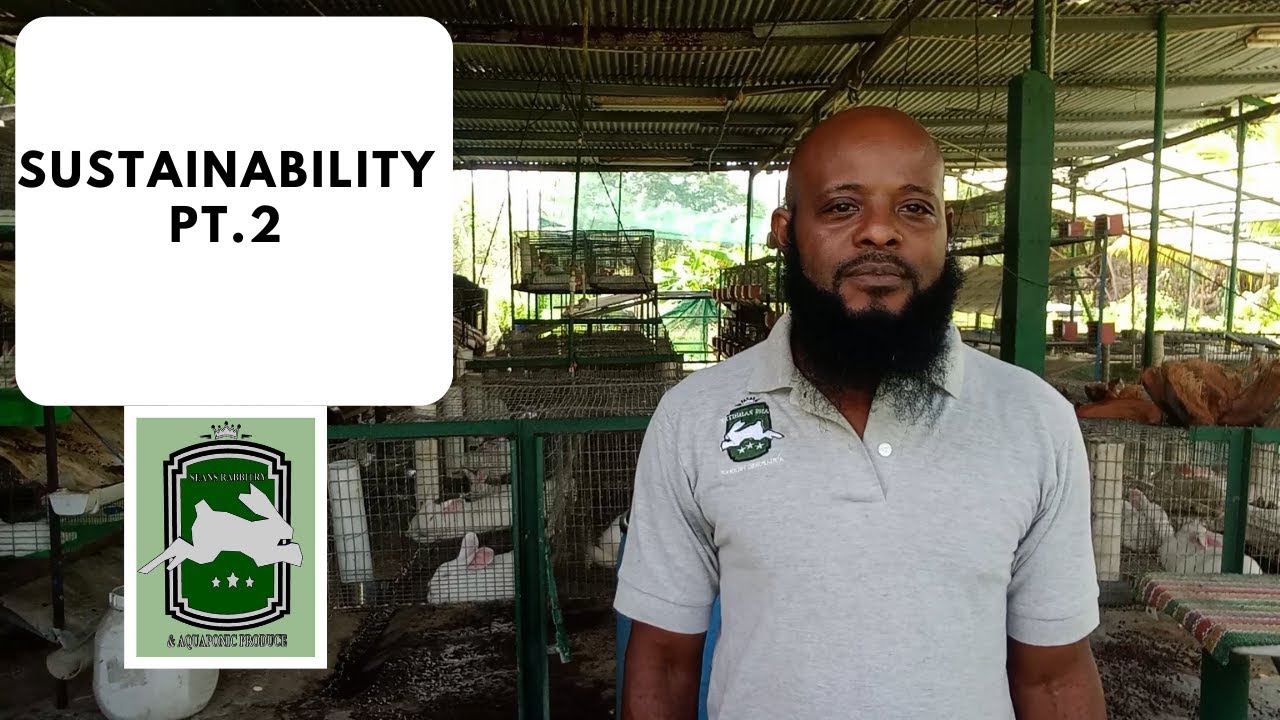 Trinidad Rabbit Farming Water Management - YouTube